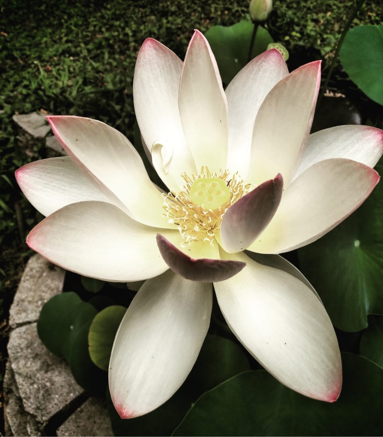 Emotional Detox & Deep Healing Retreat – Antaha – Personalized Journey ...